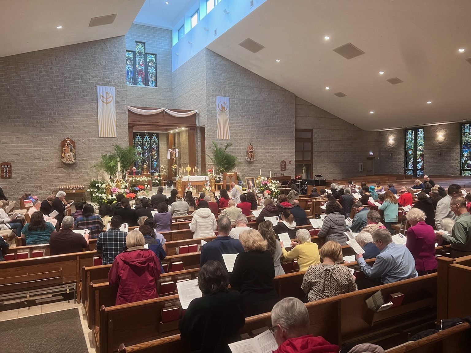 Divine Mercy Ministry – Our Lady of Mercy