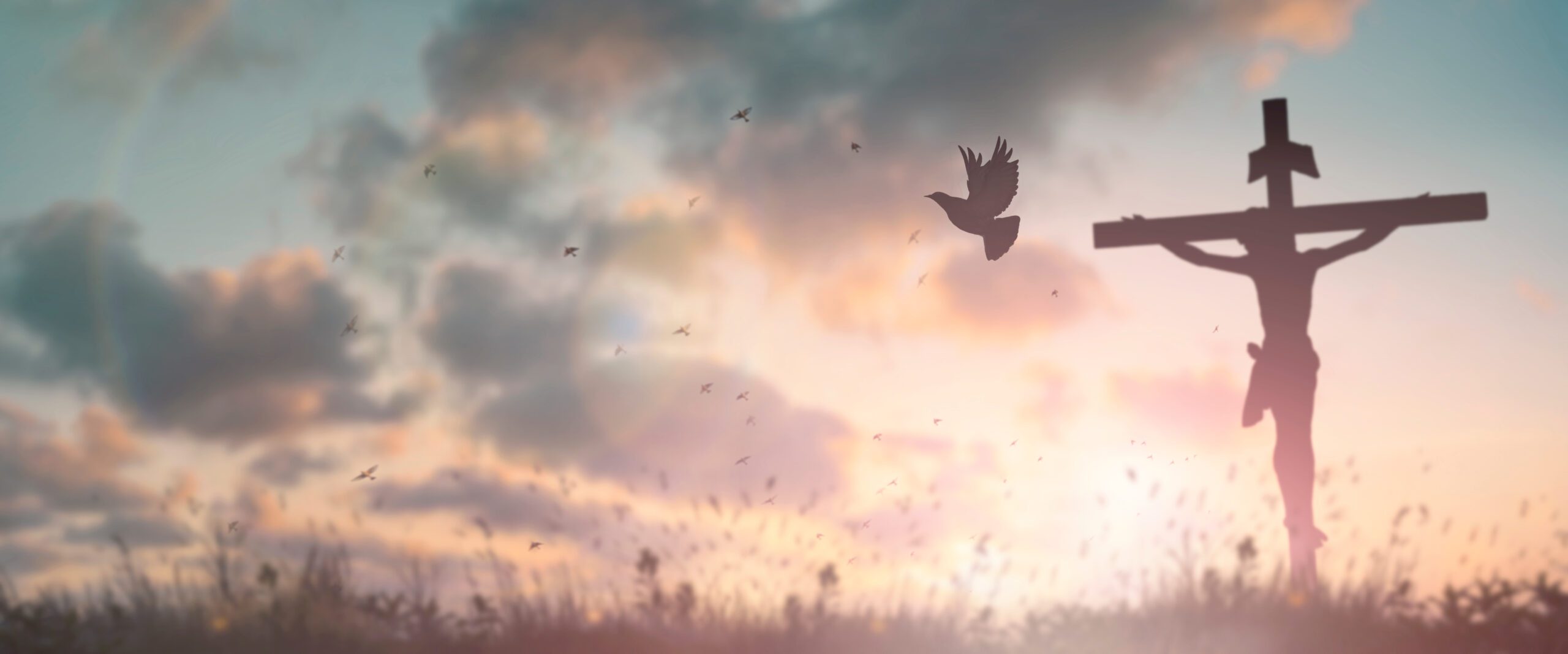 Chosen Confirmation Program for Teens – Our Lady of Mercy