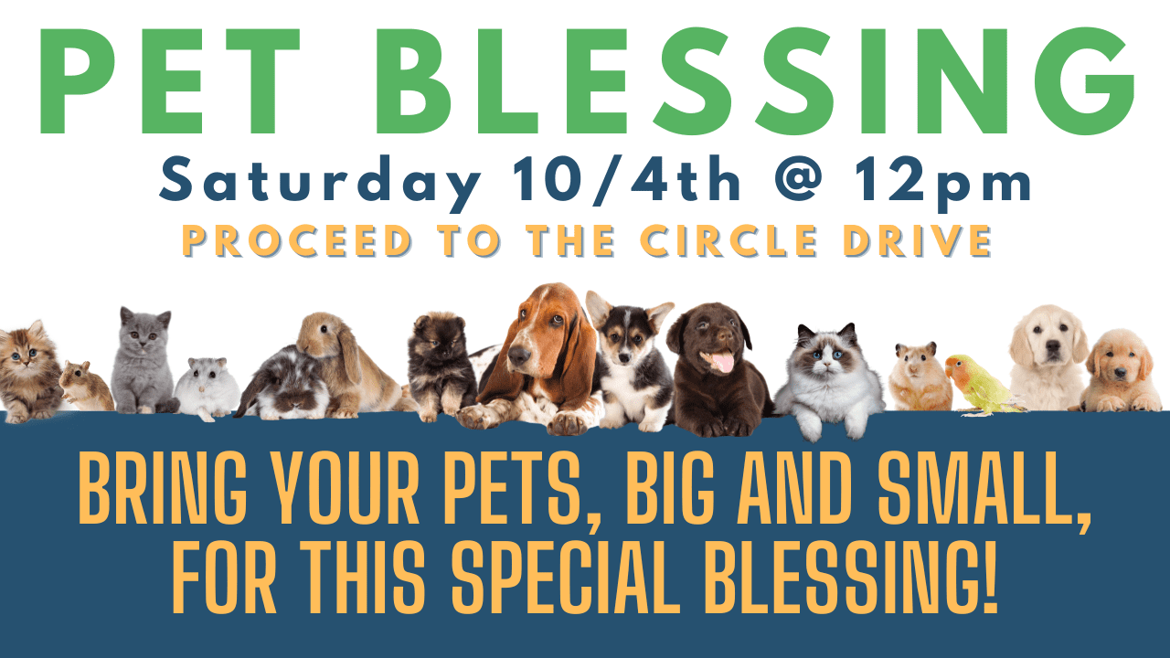 Blessing of the Animals – 10/4 – Our Lady of Mercy